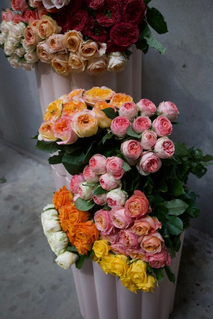 Grandiose Roses – Moss Industry Florist